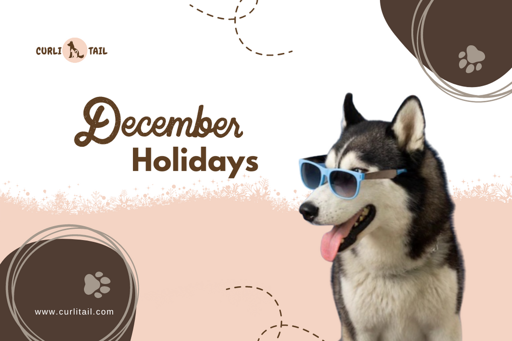 Upcoming Pet Holidays For The Month Of December – CurliTail