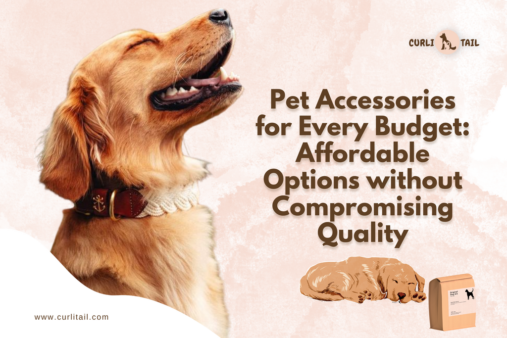 Pet Accessories for Every Budget: Affordable Options without ...