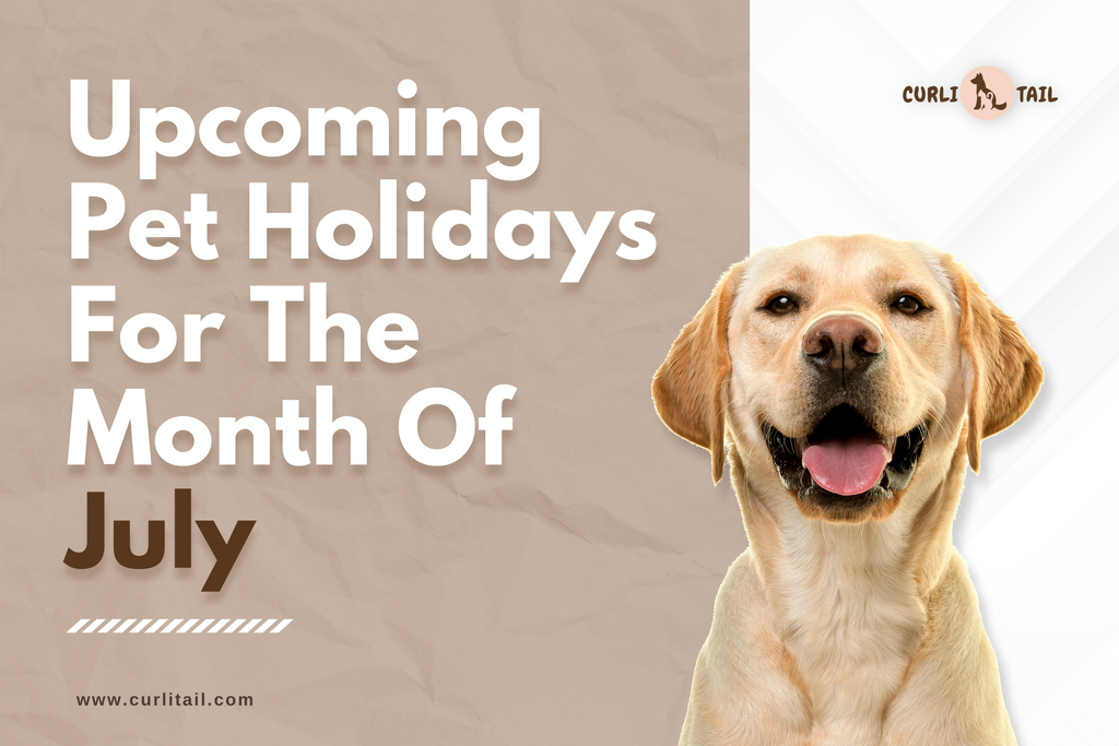 Upcoming Pet Holidays For The Month Of July – CurliTail