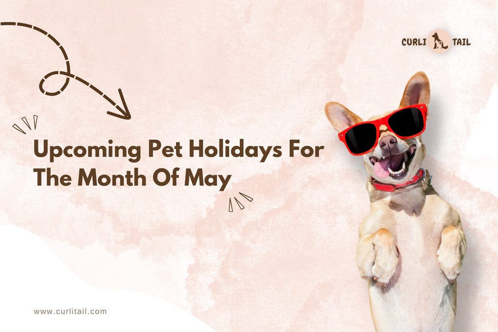 Upcoming Pet Holidays For The Month Of May – CurliTail