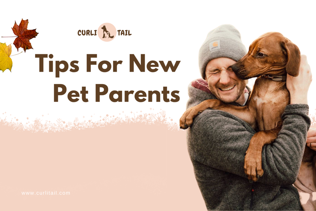 Tips For New Pet Parents – CurliTail