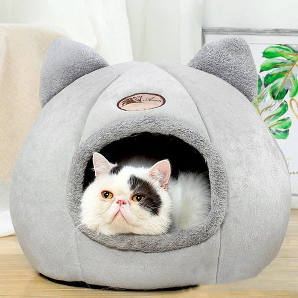 Kitty Komfort | Comfy Tent Beds for Cats and Puppies – CurliTail